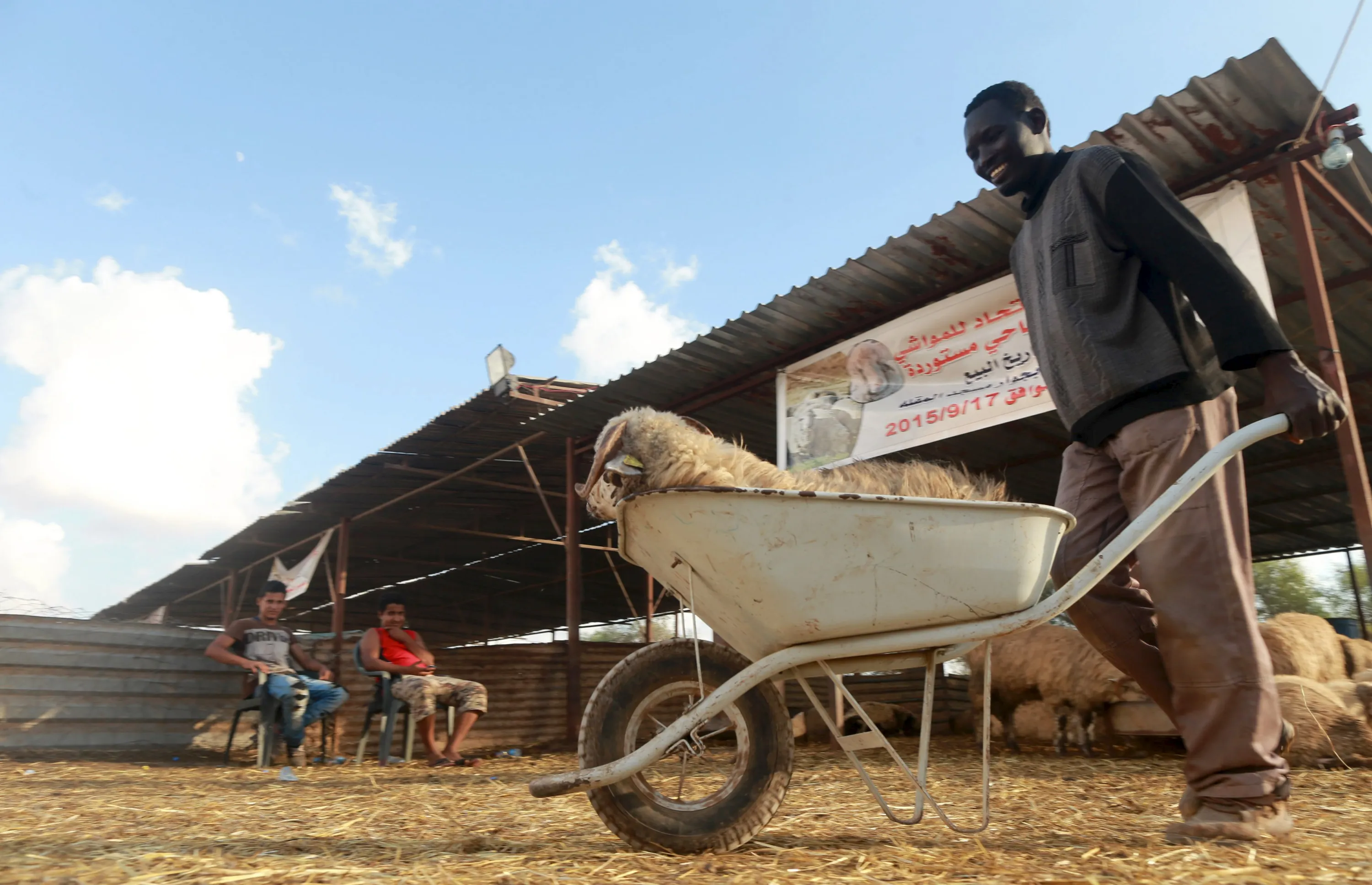 AvaxNews Picture Gallery