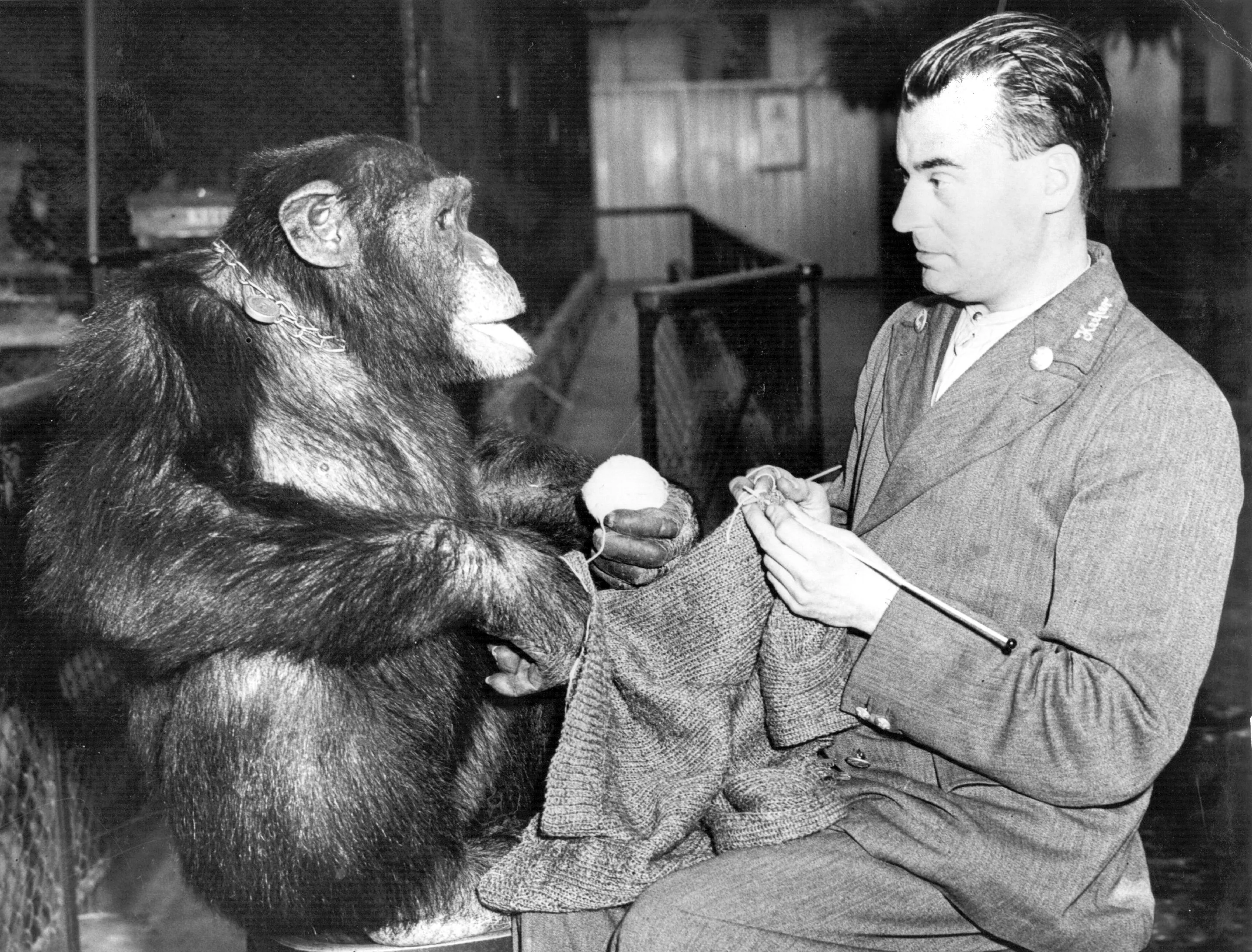 Monkey Part I Monkey Part I