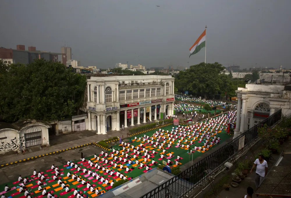 AvaxNews Picture Gallery